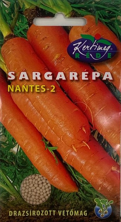 Seminte drajate de Morcovi Nantes 2, Kertimag, 420 sem