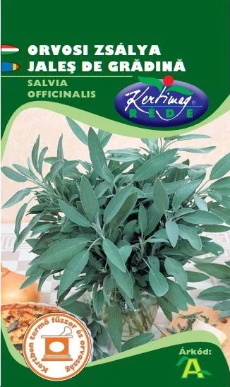 Seminte Salvie de Gradina, Kertimag